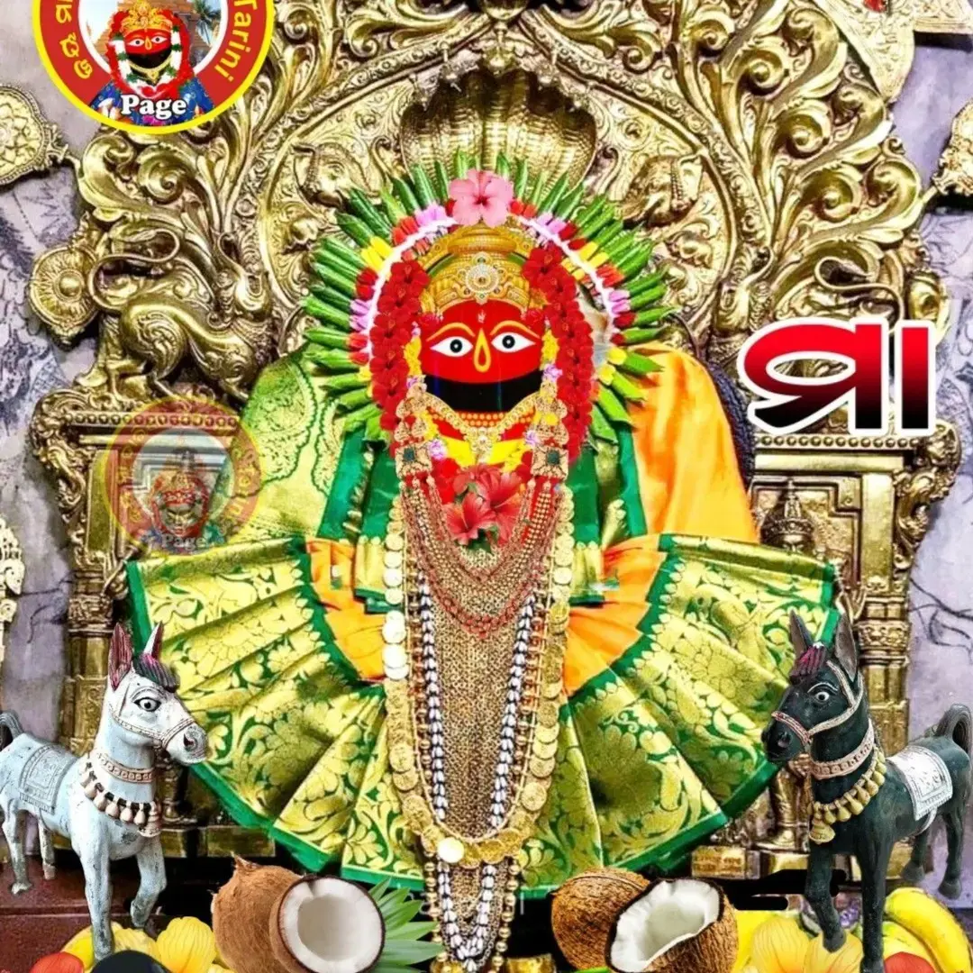 Maa Tarini Astro-Vision, KHORDA - Order Online